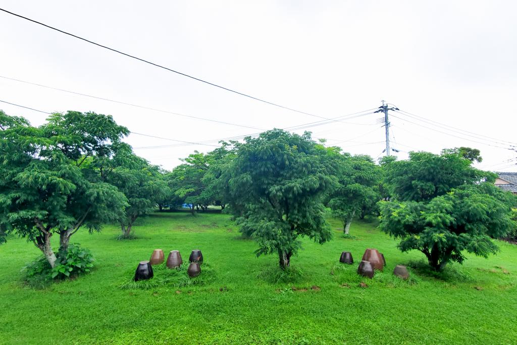 日本の伝統を島原で！和ろうそく作りが体験できる生きた文化資料館・本多木蝋（もくろう）工業所 | わたしがえらぶ長崎のお気に入り Tabi ...