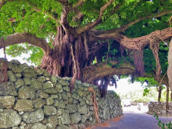 [Starting from Nagasaki] Nagasaki sightseeing & Goto (Fukue Island ...