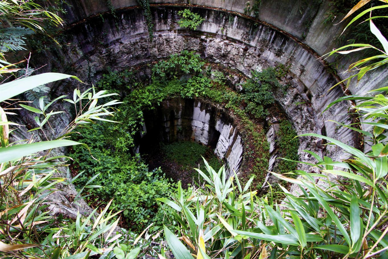 Learn about Tsushima Island! | Featured Topics | DISCOVER NAGASAKI/The ...