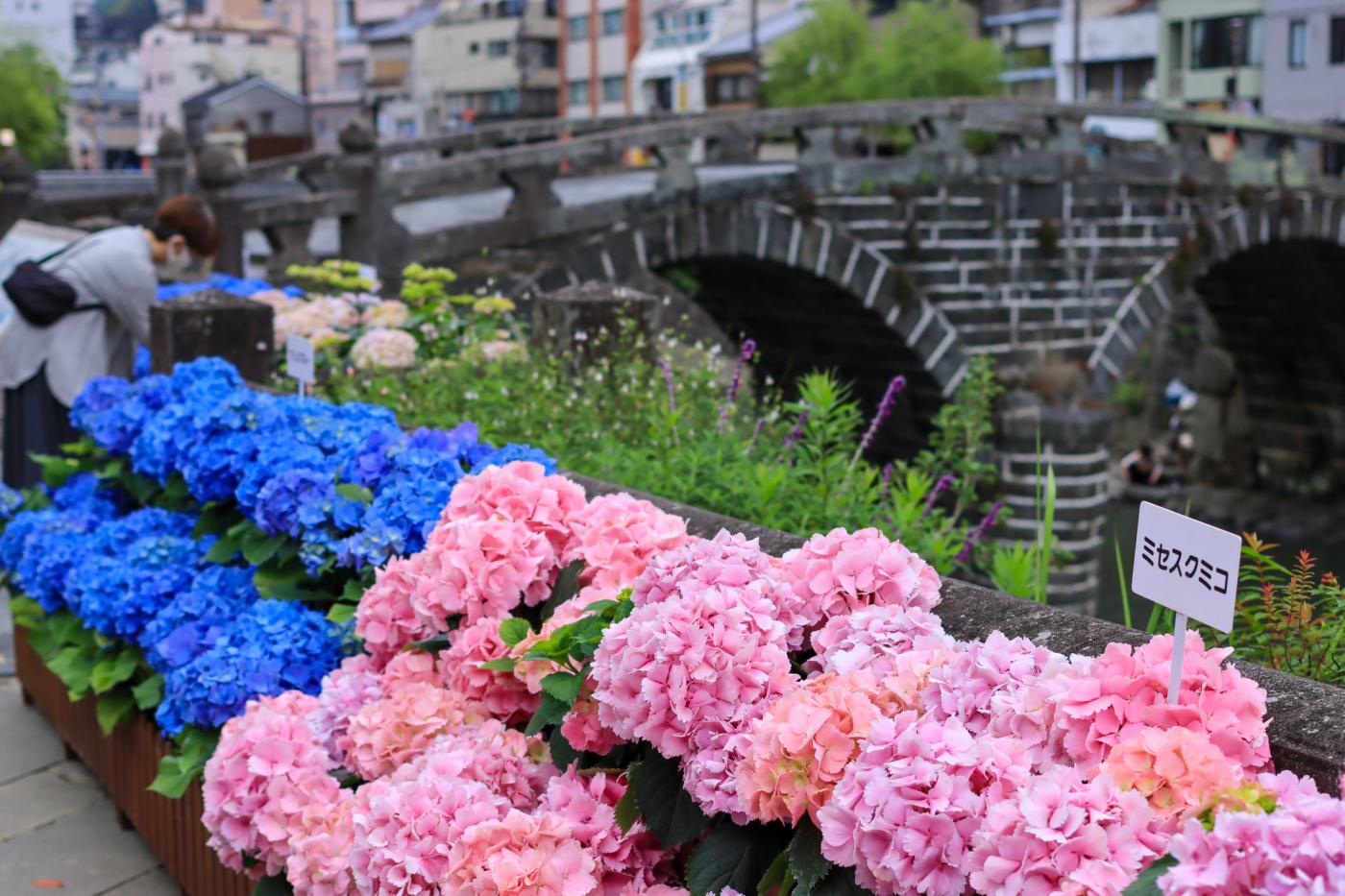 Popular Spots and Gourmet Eats Around Nagasaki City - Spring/Summer ...