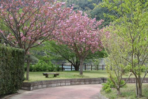 Spring, summer, fall and winter! A guide to tourism in Goto’s seasons ...