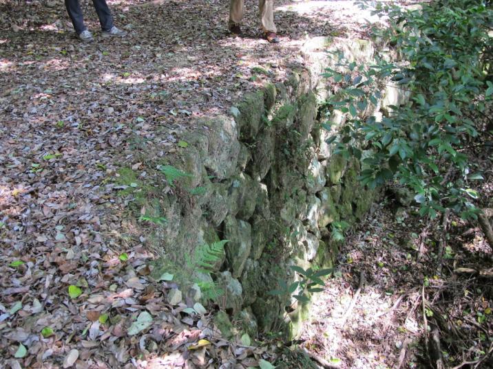 The Ruins of Kaneda Castle | See & Do | DISCOVER NAGASAKI/The Official ...