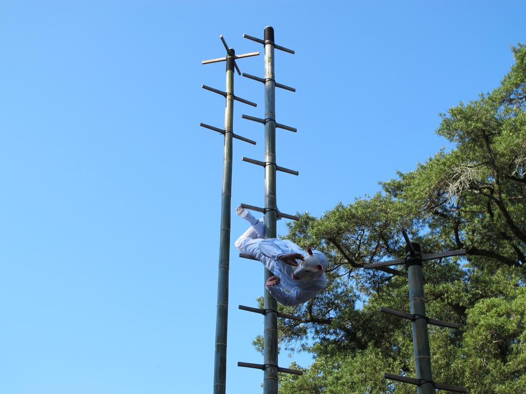 Sanno Shrine and the One-Legged Torii Gate | See & Do | DISCOVER ...